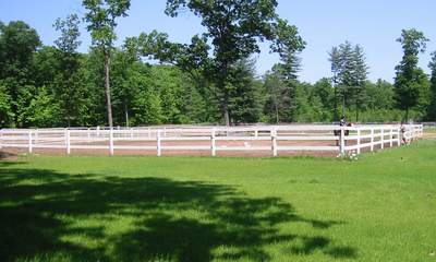 Services- horse sales